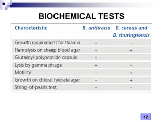 Medical Microbiology Laboratory (Bacillus spp.) | PDF | Chemistry | Science