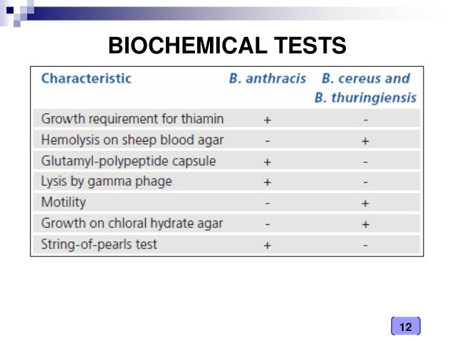 Medical Microbiology Laboratory (Bacillus spp.)