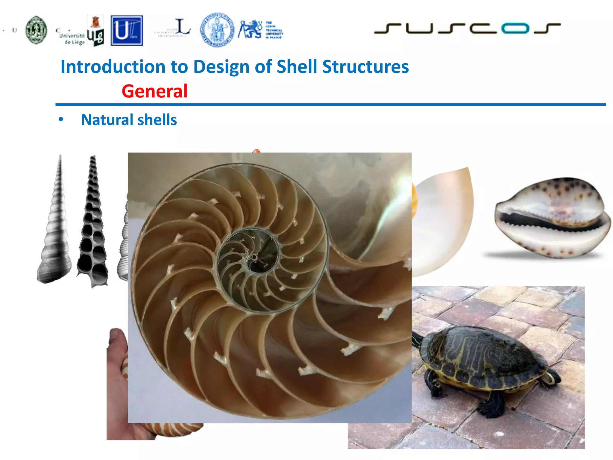 L16_17_Shell structures.pdf | Geology | Science