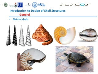 Natural Shell Structures