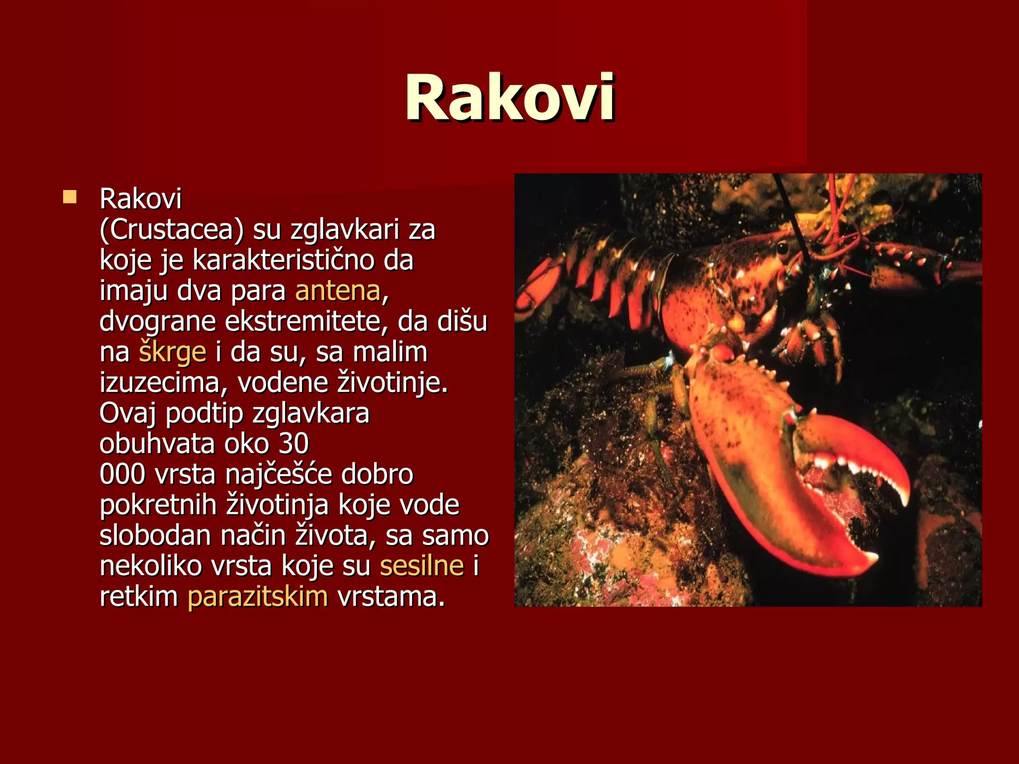 L168 - Biologija - Zglavkari - Aleksandra Živadinović - Danijela ...