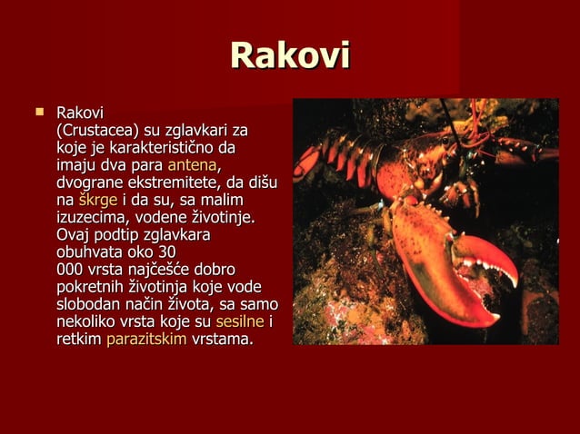 L168 - Biologija - Zglavkari - Aleksandra Živadinović - Danijela ...