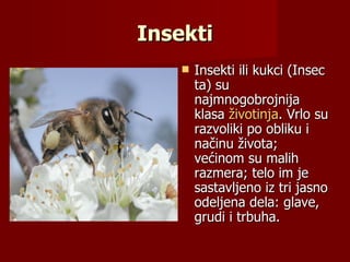 L168 - Biologija - Zglavkari - Aleksandra Živadinović - Danijela ...