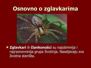 L168 - Biologija - Zglavkari - Aleksandra Živadinović - Danijela ...