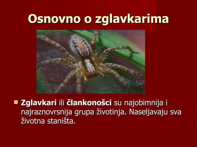 L168 - Biologija - Zglavkari - Aleksandra Živadinović - Danijela ...