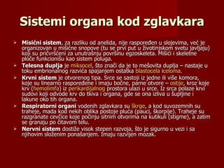 L168 - Biologija - Zglavkari - Aleksandra Živadinović - Danijela ...