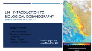 Biological Oceanography: Plankton and Primary Productivity | PPTX