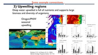 Biological Oceanography: Plankton and Primary Productivity | PPTX