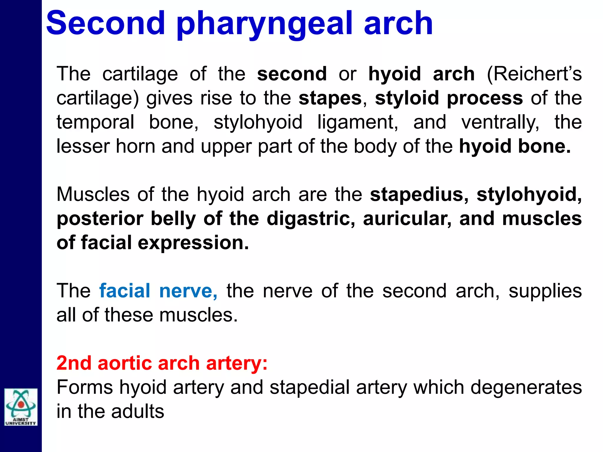 Embryology of Pharyngeal Arches by Dr Niazur Rahman | PPTX