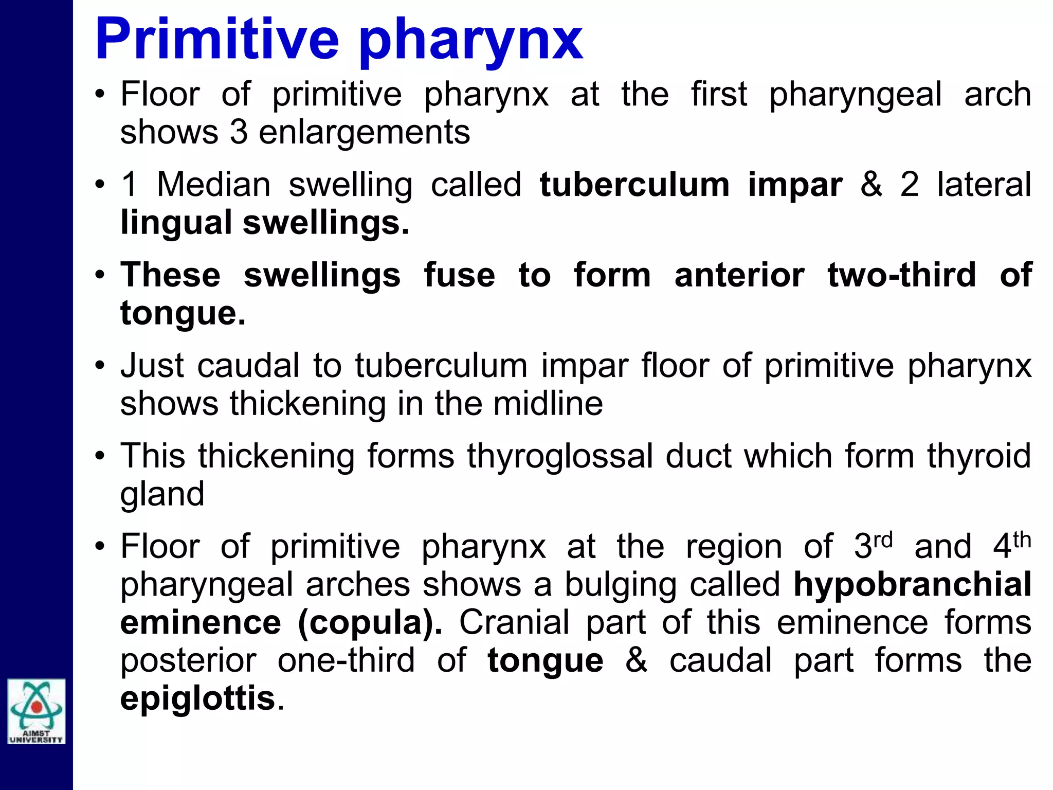 Embryology of Pharyngeal Arches by Dr Niazur Rahman | PPTX