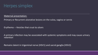 L30 Perinatal Infections part 2 | PPTX