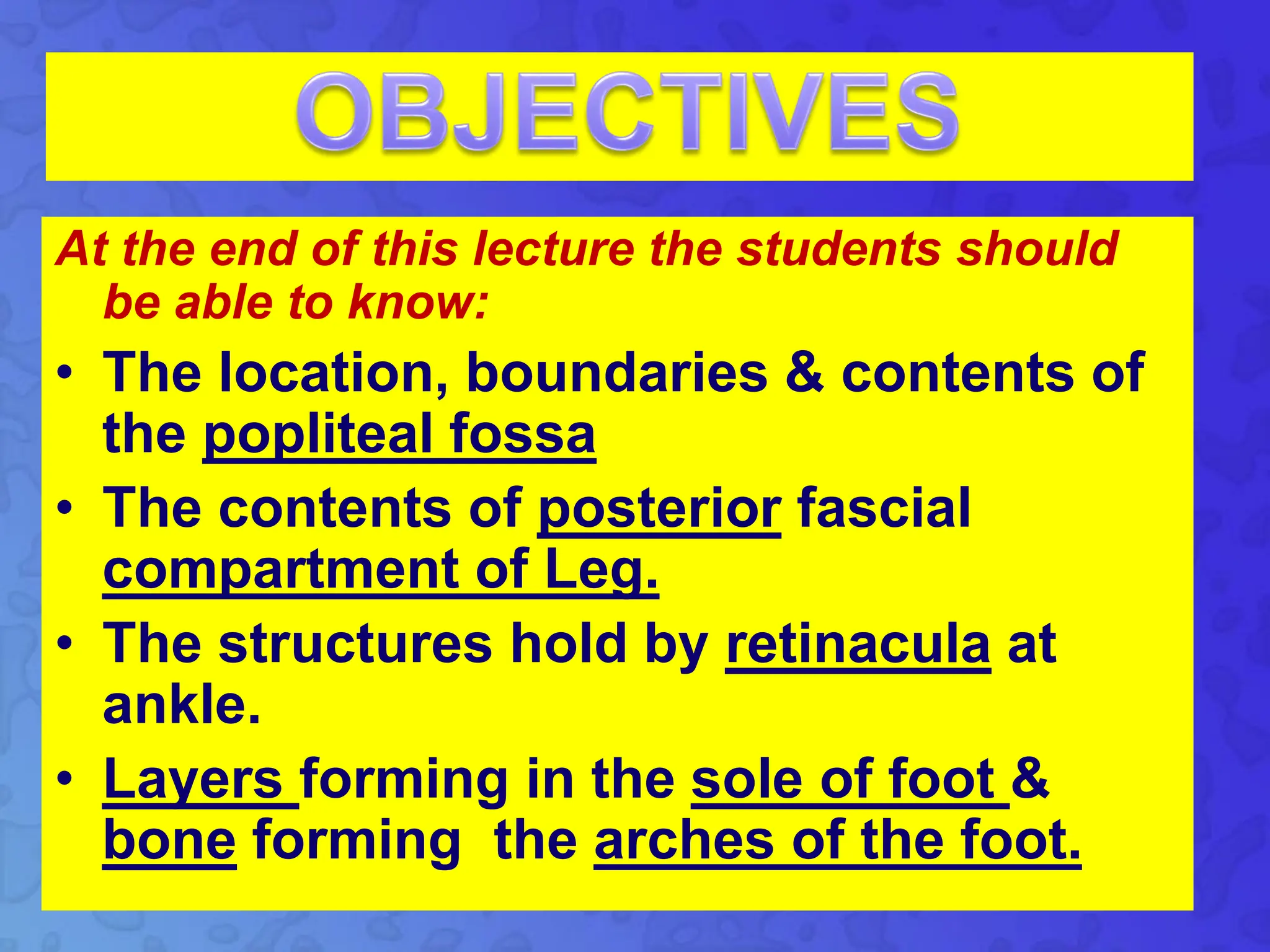 L16) Popliteal fossa & back of leg & sole foot.pdf