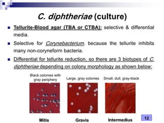 Medical Microbiology Laboratory (Corynebacterium and Listeria) | PPT