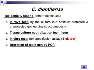 Medical Microbiology Laboratory (Corynebacterium and Listeria) | PPT