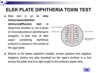 Medical Microbiology Laboratory (Corynebacterium and Listeria) | PPT