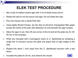 Medical Microbiology Laboratory (Corynebacterium and Listeria) | PPT