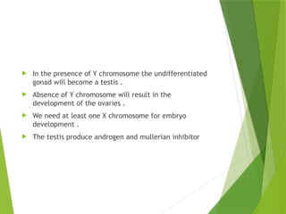 L17- PUBERTY.pptx. . | PPTX