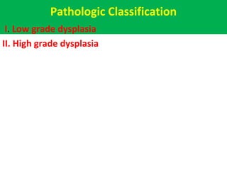 L17 neoplastic polyps | PPT