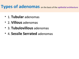 L17 neoplastic polyps | PPT