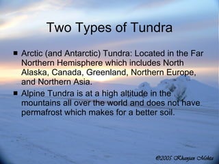 l18 Tundra Project | PPT | Free Download