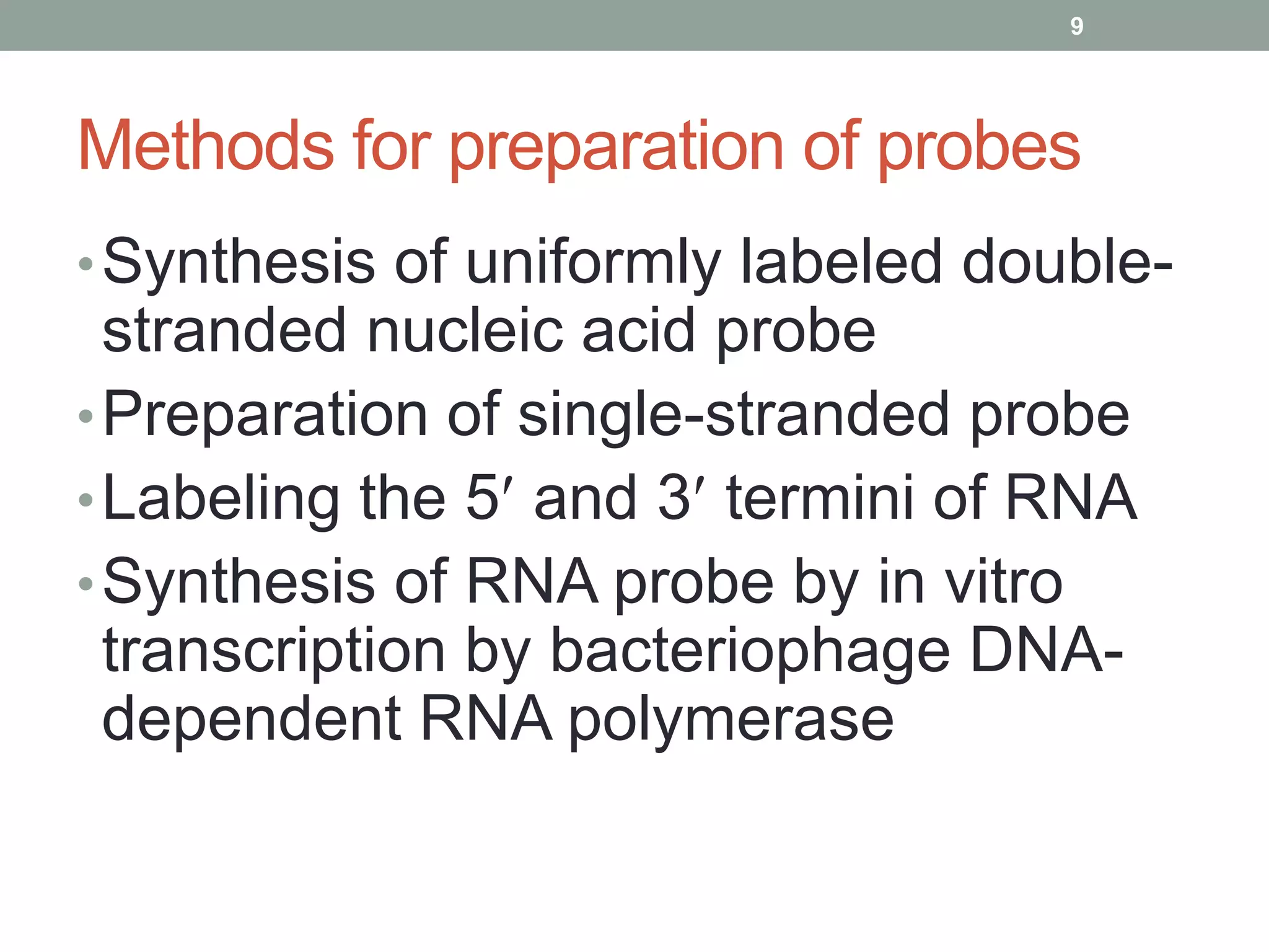 L18. analysis of rna and northern hybridization | PPTX | Chemistry ...