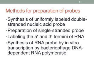 L18. analysis of rna and northern hybridization | PPTX