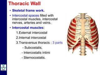 Anatomy of the Thorax by Dr Niazur Rahman | PPTX