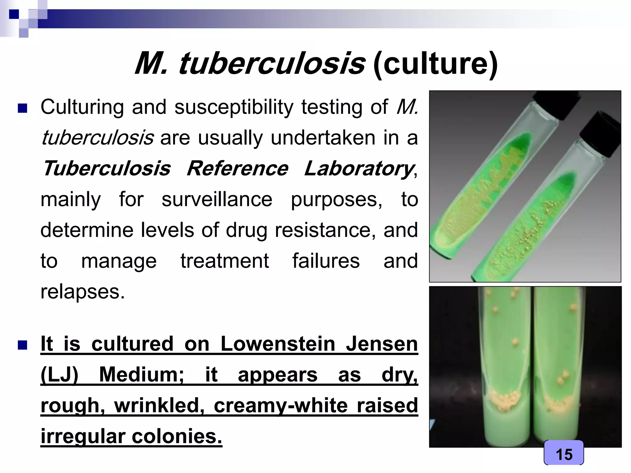 Medical Microbiology Laboratory (Mycobacterium spp.) | PDF