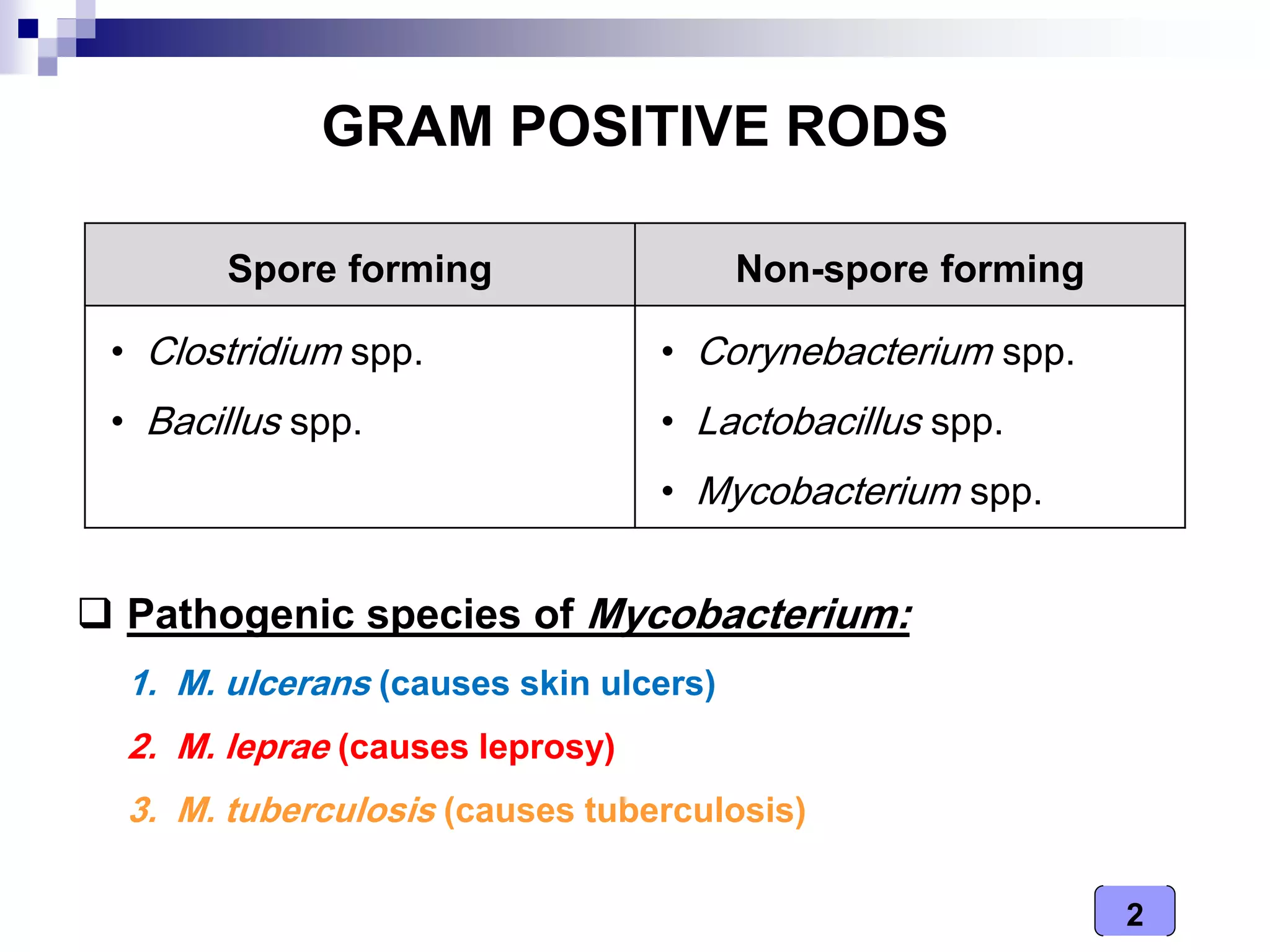 Medical Microbiology Laboratory (Mycobacterium spp.) | PDF