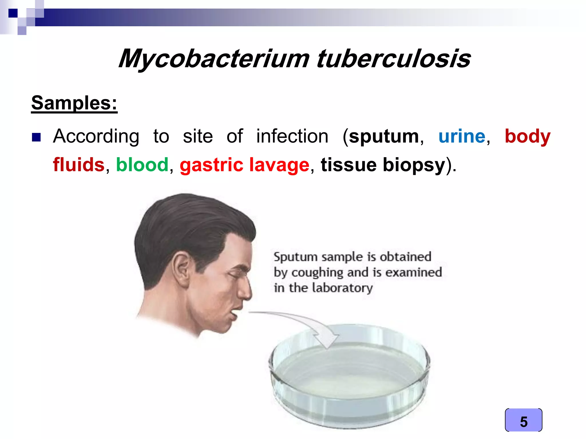 Medical Microbiology Laboratory (Mycobacterium spp.) | PDF