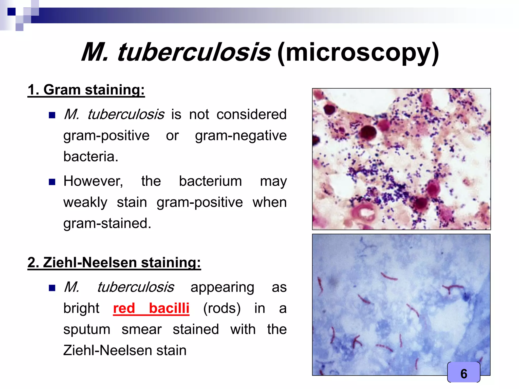 Medical Microbiology Laboratory (Mycobacterium spp.) | PDF