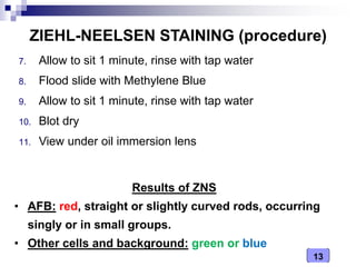 Medical Microbiology Laboratory (Mycobacterium spp.) | PDF