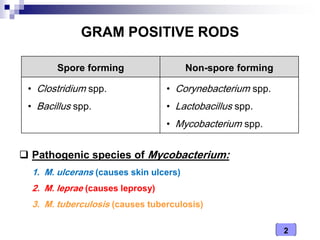 Medical Microbiology Laboratory (Mycobacterium spp.) | PDF
