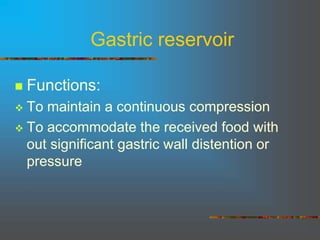 L 18 Gastric secertion.ppt