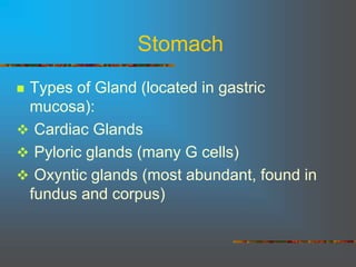L 18 Gastric secertion.ppt