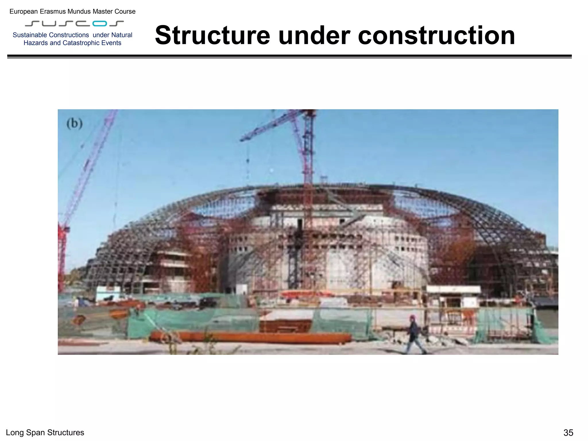 Long Span Structures.pdf