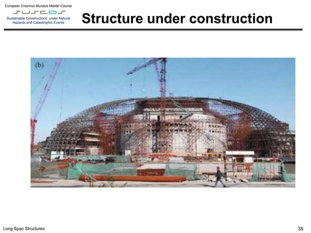 Long Span Structures.pdf | Geology | Science