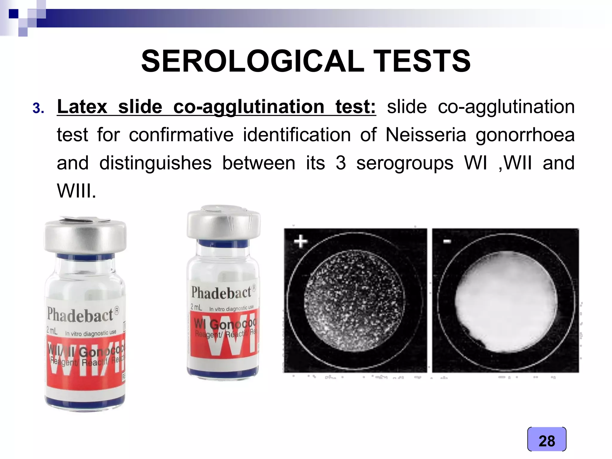 Medical Microbiology Laboratory (Neisseria spp.) | PDF