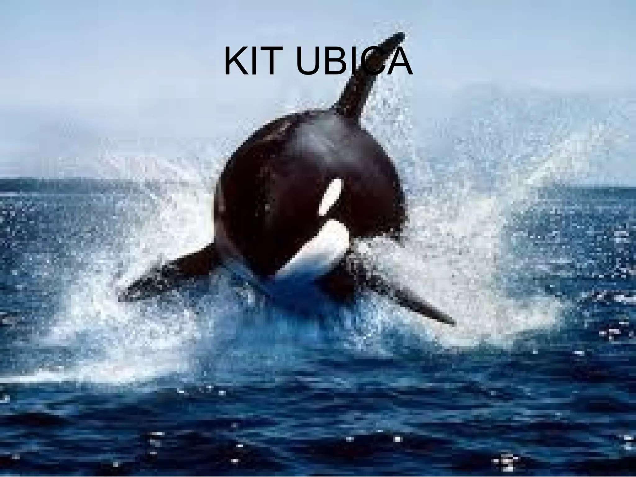 L191 - Biologija - Kit ubica - Momčilo Mitrović - Danijela Veljković | PPT