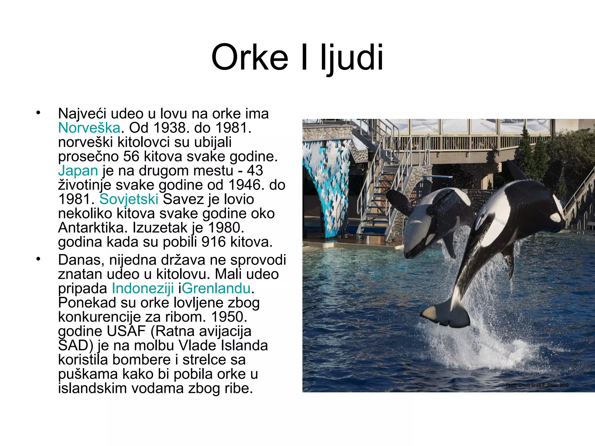 L191 - Biologija - Kit ubica - Momčilo Mitrović - Danijela Veljković | PPT