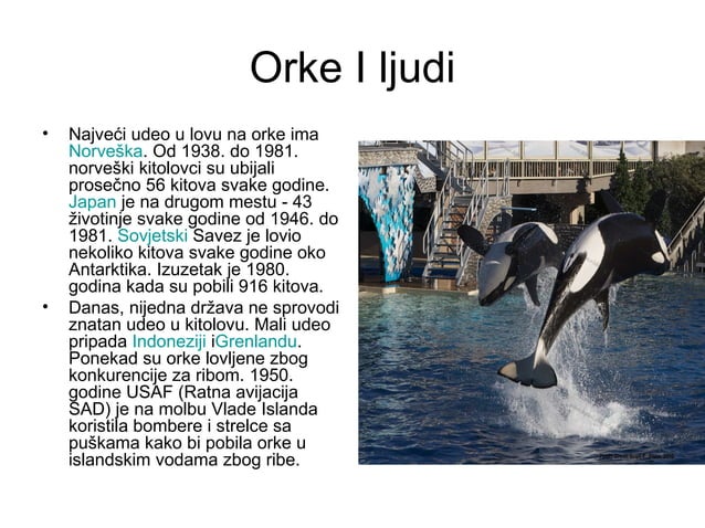 L191 - Biologija - Kit ubica - Momčilo Mitrović - Danijela Veljković | PPT