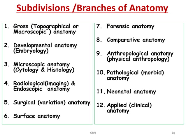 L1a.Introduction to AnatomyAnatomy forms the basis for the clinical ...