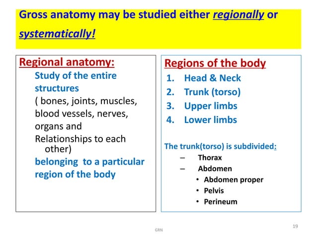 L1a.Introduction to AnatomyAnatomy forms the basis for the clinical ...