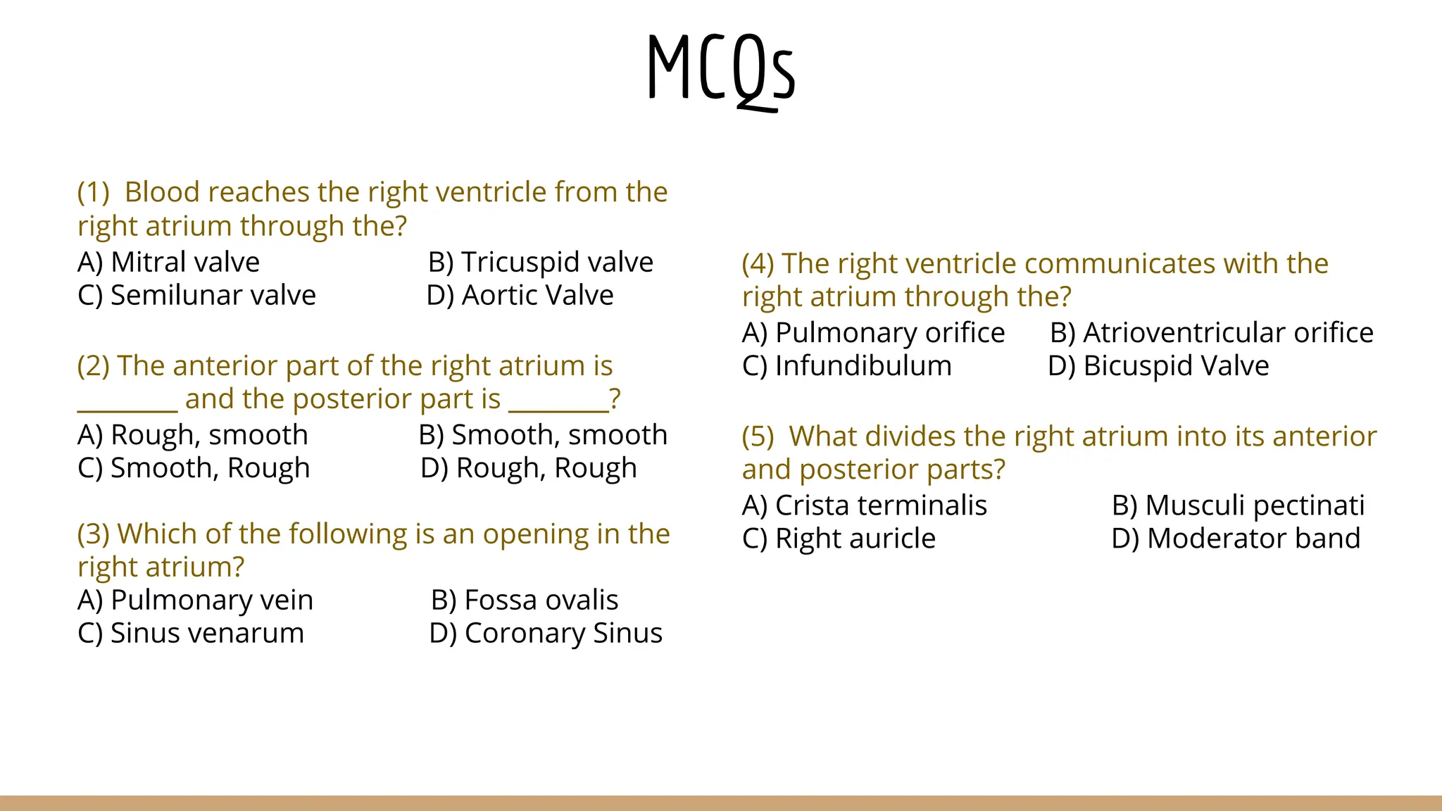 Anatomy of The Heart , valves and chambers etc.pdf | Heart and ...