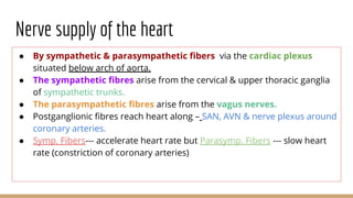 Anatomy of The Heart , valves and chambers etc.pdf