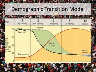 L1 ap what do you think the global population will | PPTX