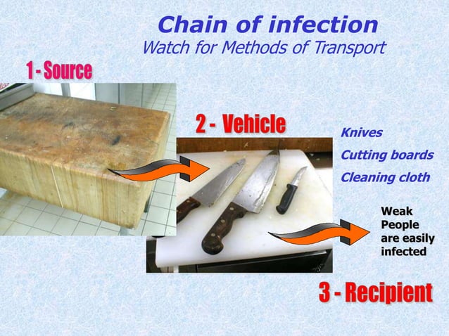 L1 Basic HACCP Presentation Lite.ppt