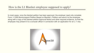 L1 blanket | PPT