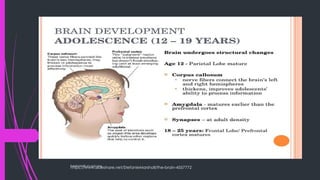 L1 CHILD DEVELOPMENT PRESENTATION SLIDE FOR SECOND YEAR STUDENT | PDF