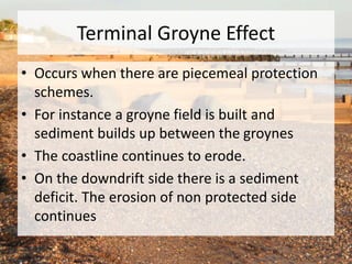 L1 coastal management strategies | PPTX | Geology | Science